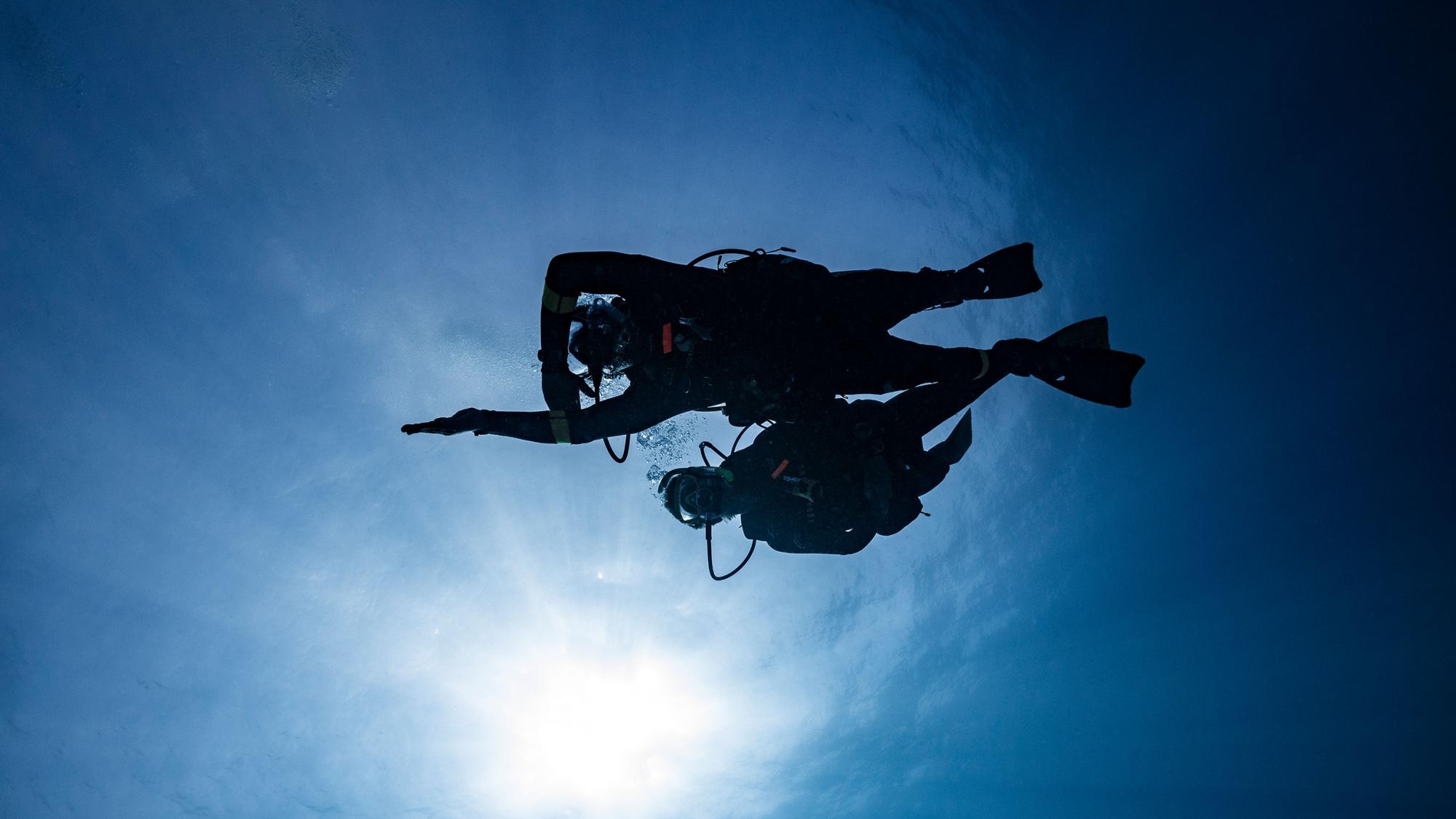 PADI Professional | PADI